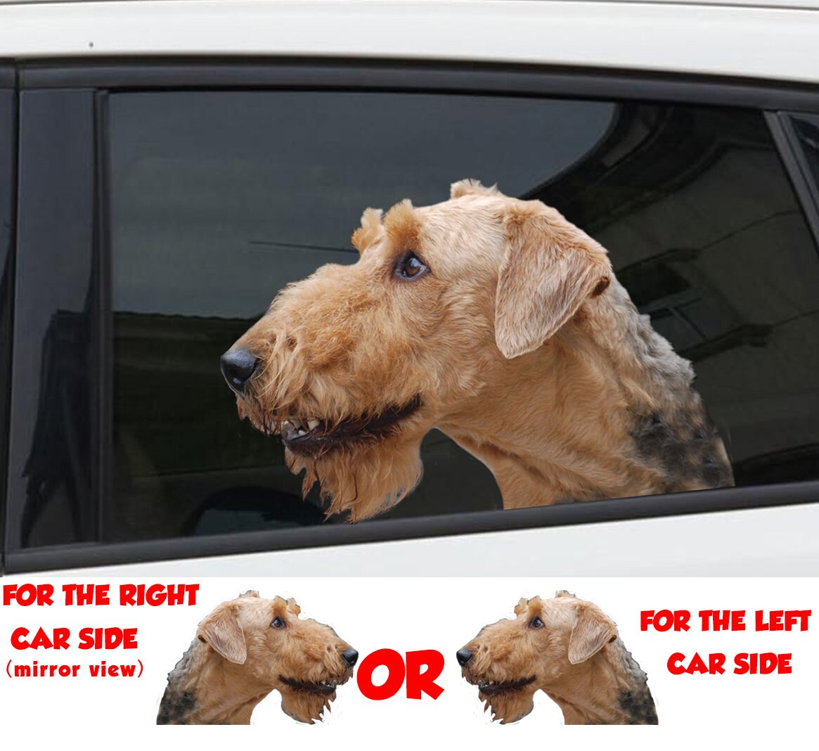 Airedale Terrier Window Sticker , 3D Sticker, Funny Sticker, Airedale ...