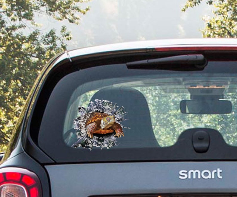 Tortoise Window Sticker, Car Sticker, Tortoise Car Decal - Etsy
