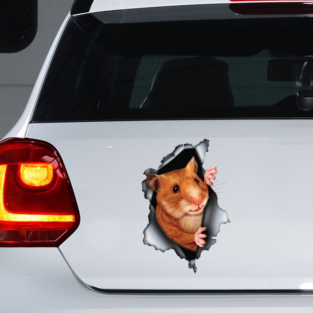 Funny Hamster Car Decal , Hamster Magnet, Hamster Decal, Hamster Car ...
