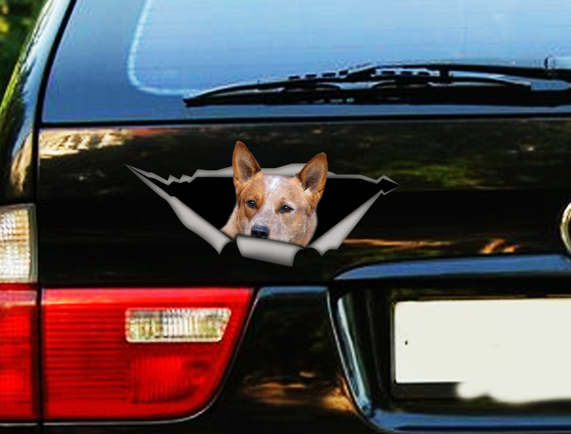 Red Heeler Car Decal Red Heeler Magnet Car Decoration Red - Etsy