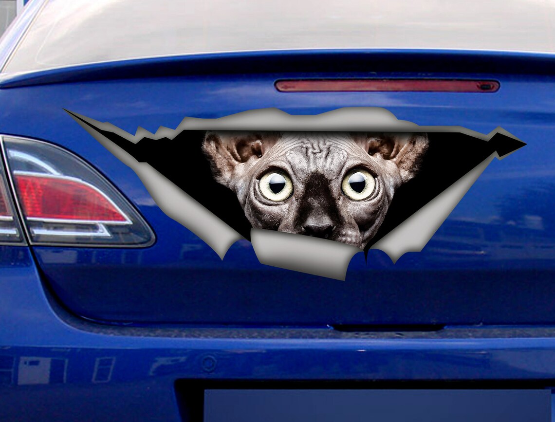 Sphynx Cat Sticker Car Decal Vinyl Decalpet Sticker Cat - Etsy