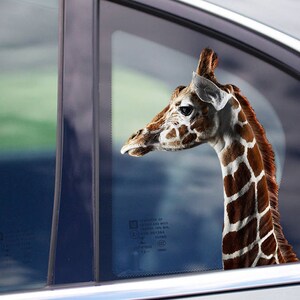 STICKER, Giraffe Window Sticker, Car Sticker, Giraffe Car Decal, Funny ...