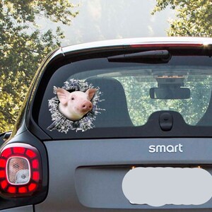 Pig Window Sticker , Window Sticker, Pig Funny Decal - Etsy