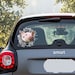 Pig Window Sticker , Window Sticker, Pig Funny Decal - Etsy