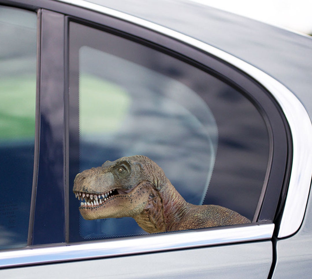 Dinosaur Car Window Sticker , Funny Sticker, Dinosaur Decal - Etsy