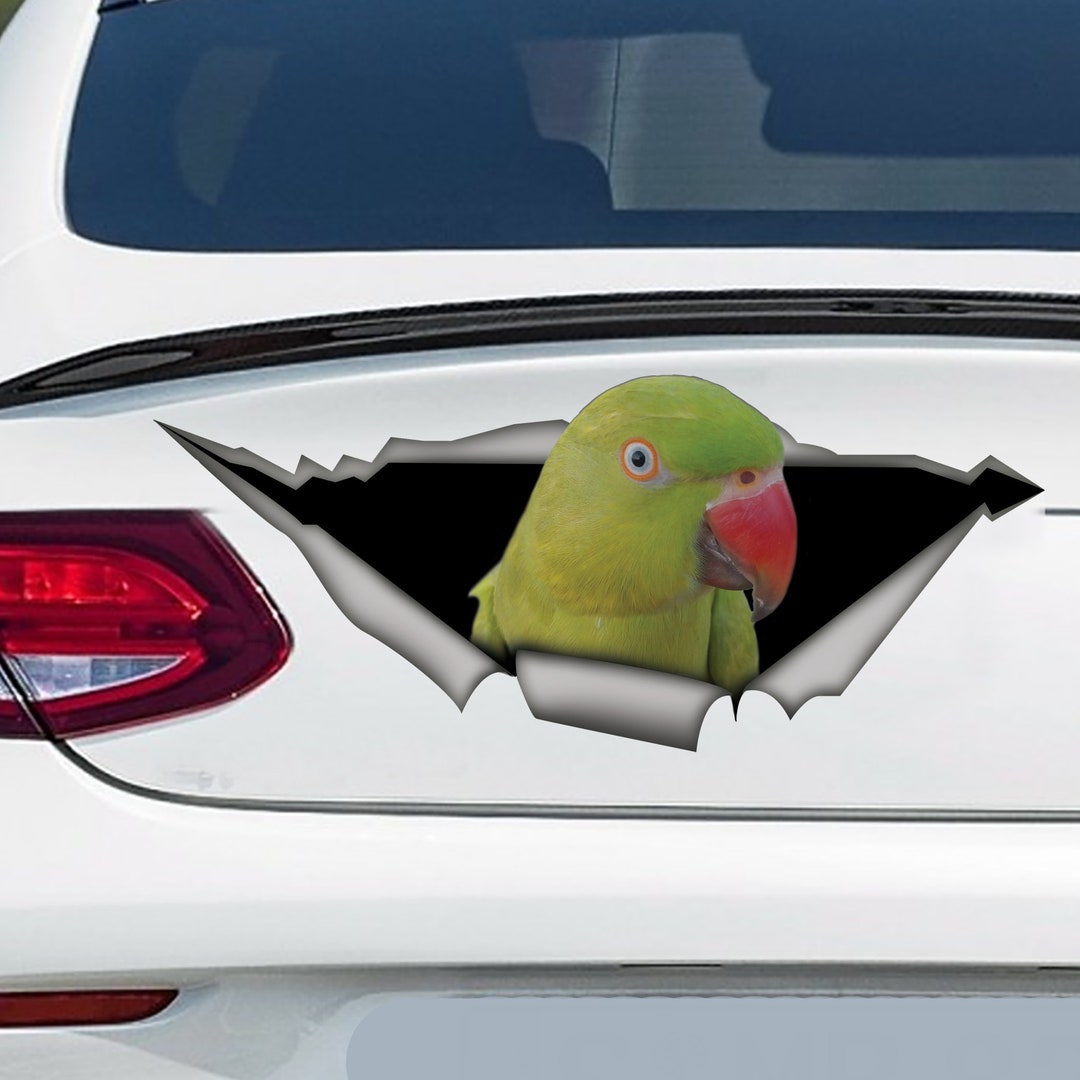 Indian Ringneck Car Decal, Indian Ringneck Magnet, Indian Ringneck ...