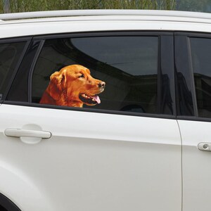 Golden Retriever Window Decal, Car Sticker, Golden Retriever Sticker - Etsy