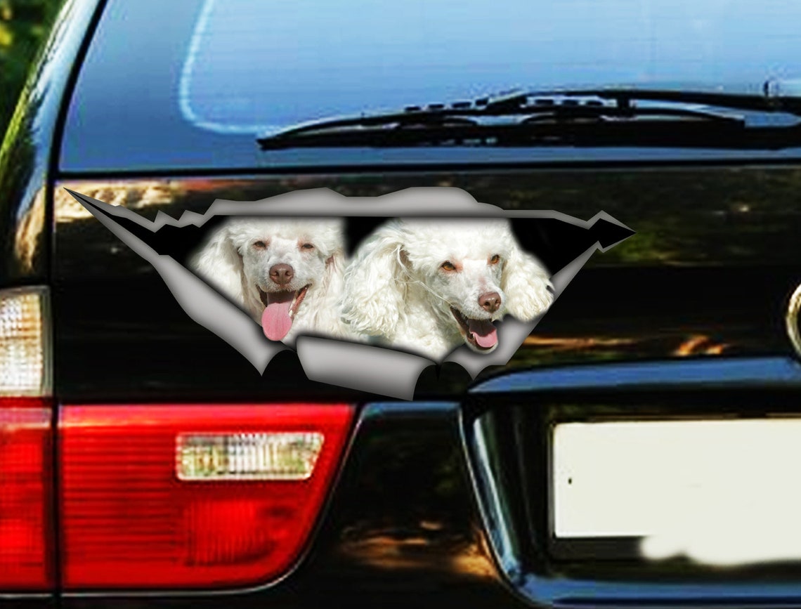 Sticker Poodles Car Sticker Poodle Decal Pet Sticker | Etsy