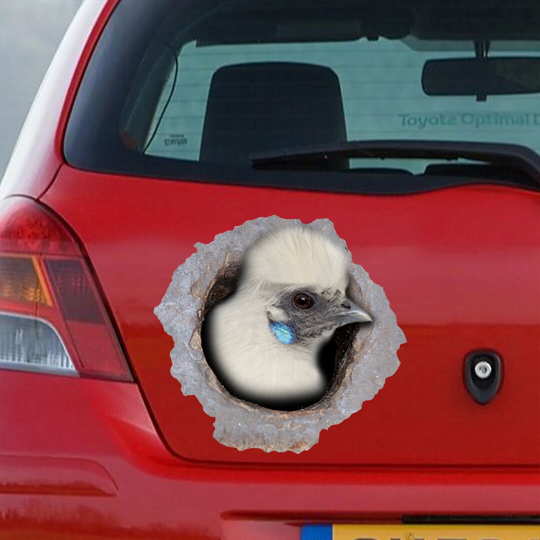 White Silkie Chicken Car Decal , Silkie Magnet, Funny Hen Car Sticker ...