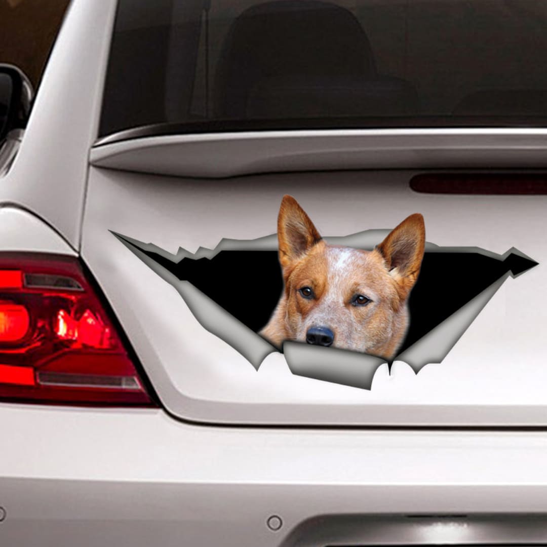 Red Heeler Car Decal, Red Heeler Magnet, Car Decoration, Red Heeler ...