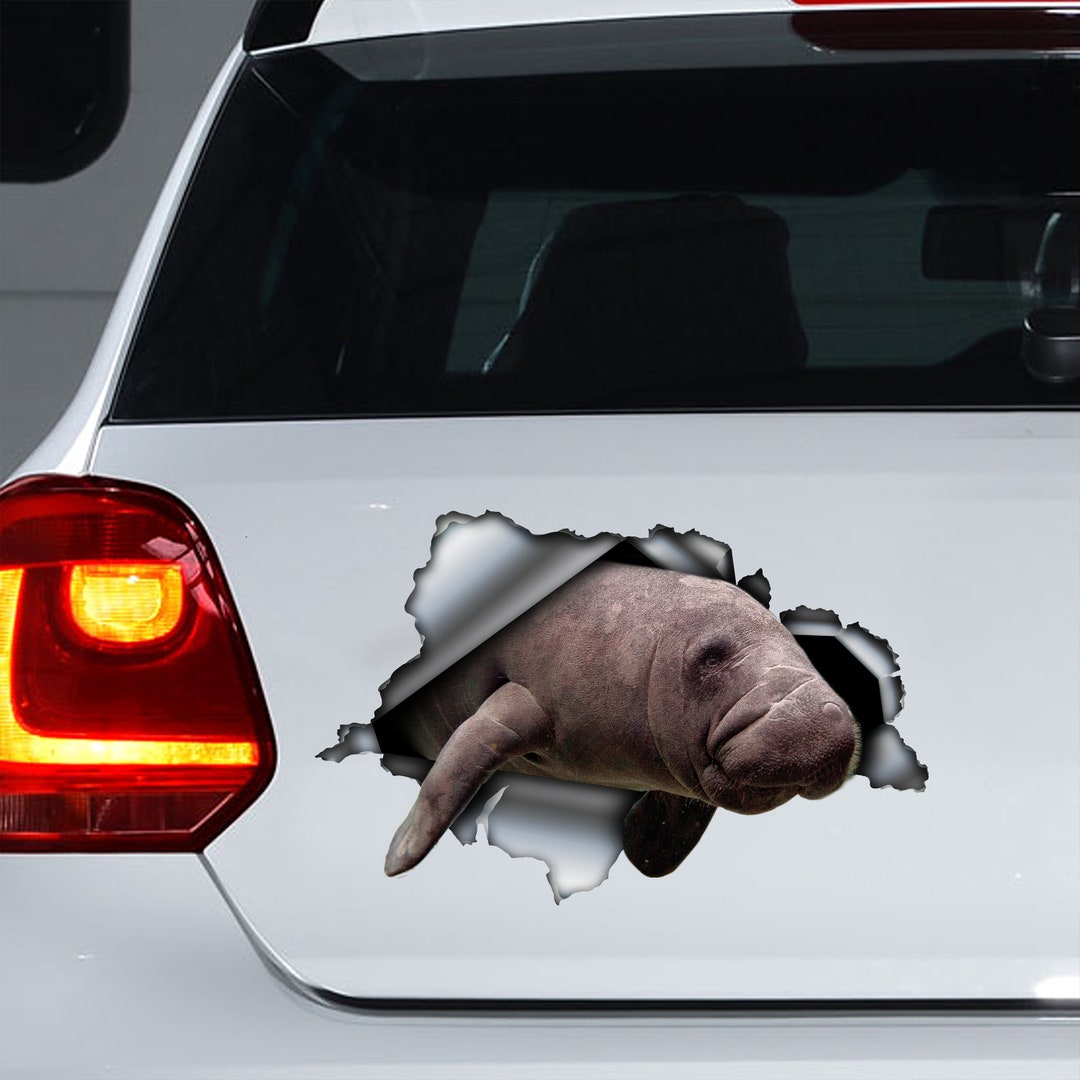 Manatee Car Decal, Manatee Magnet, Manatee Sticker - Etsy
