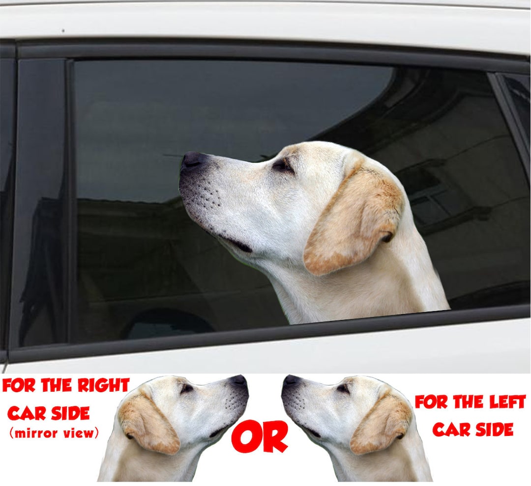 Yellow Lab Car Window Sticker , 3D Sticker, Funny Sticker, Yellow Lab ...