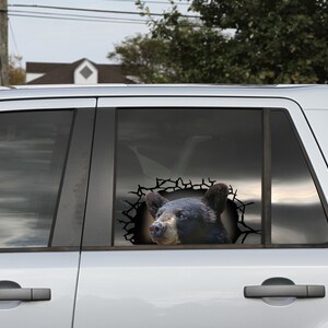 Black Bear 3D Sticker, Cracked Window Decal , Black Bear Decal - Etsy