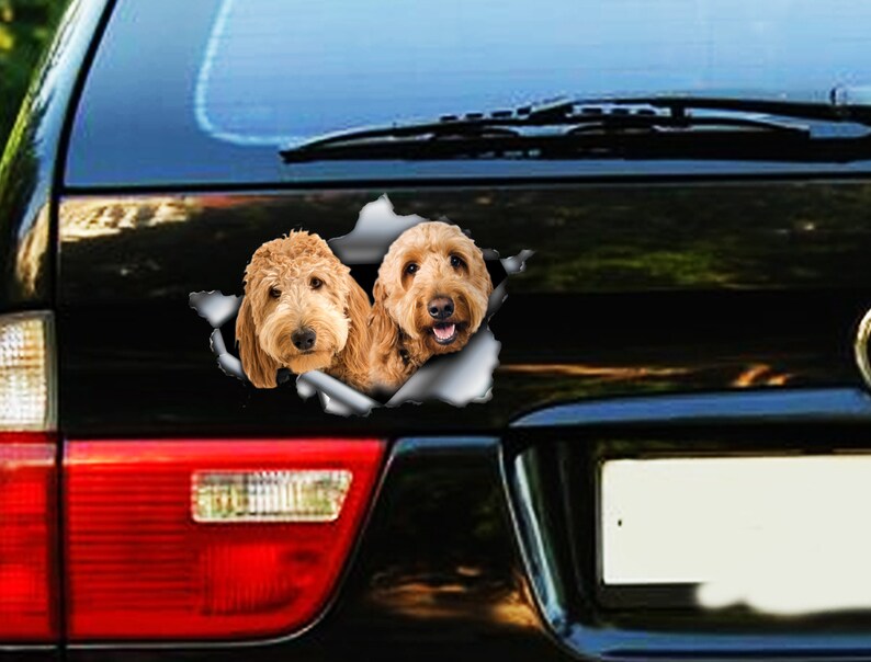 Goldendoodle Sticker Car Decoration Goldendoodle Decal Dog - Etsy
