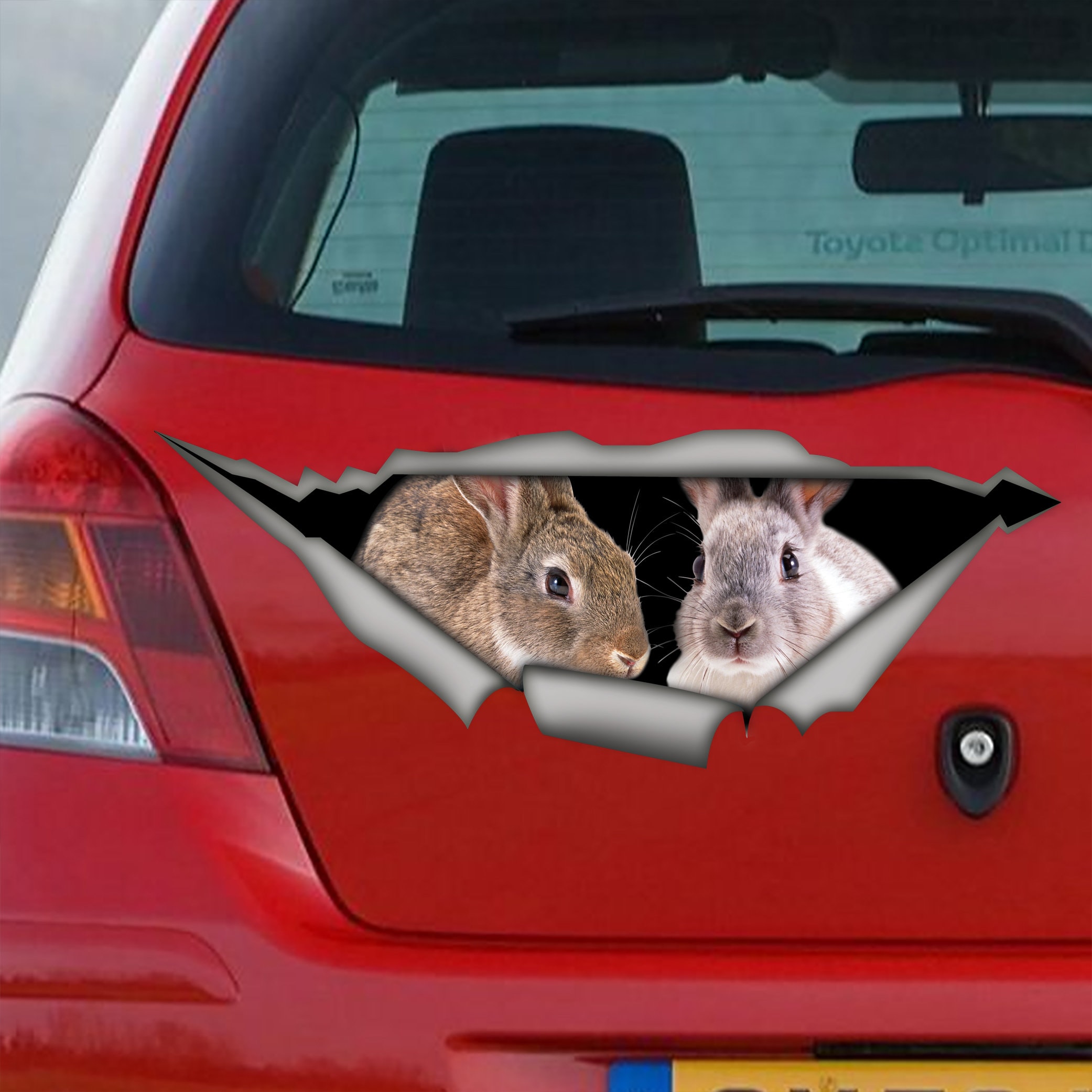 Pegatina de conejos, calcomanía de coche de conejo, calcomanía de ...