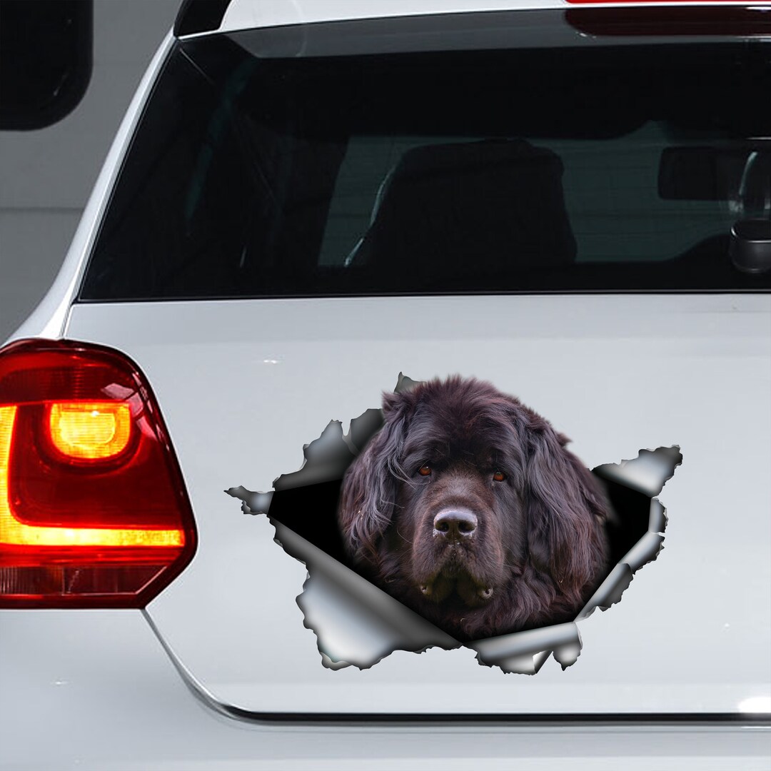 Black Newfie Car Decal, Newfie Magnet, Newfoundland Sticker, Black ...