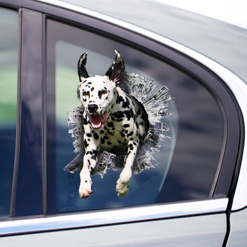 Car Window Decals Funny - Etsy