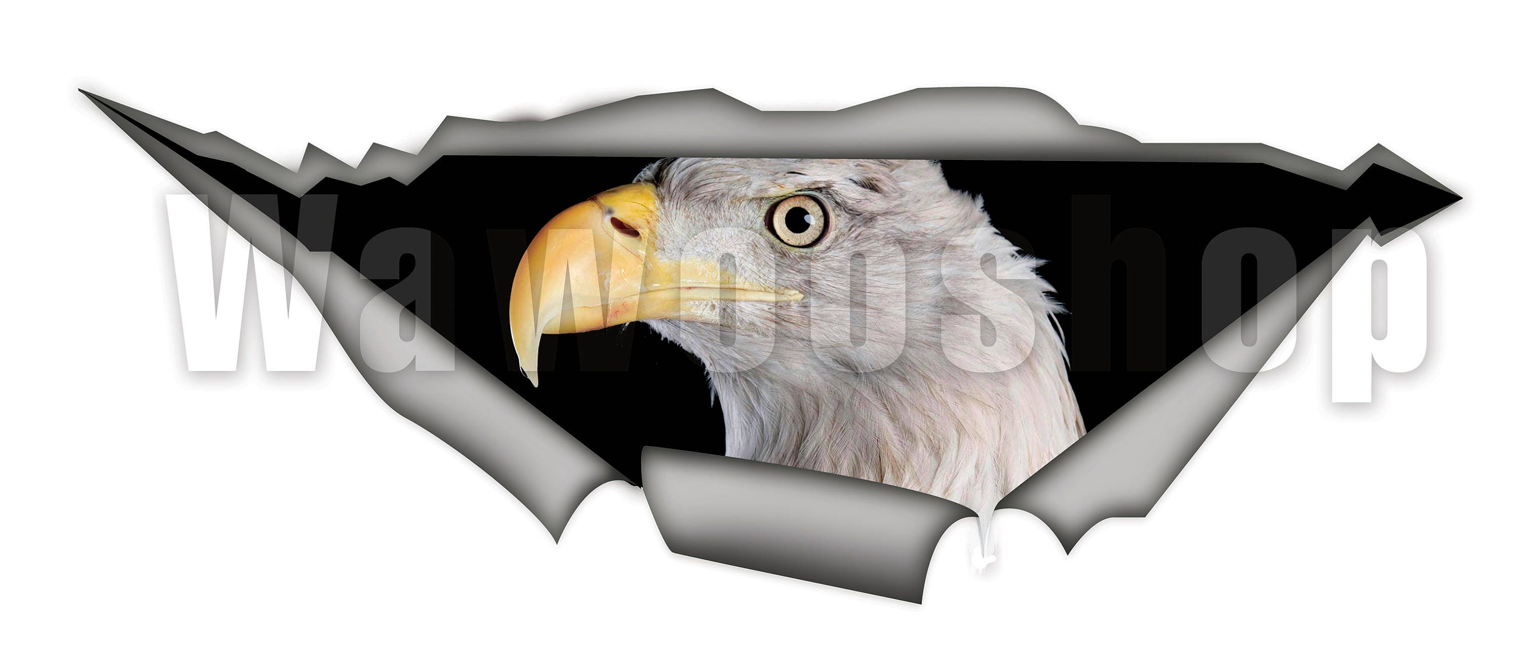 Eagle car decal bird car decal Vinyl decal bird sticker | Etsy