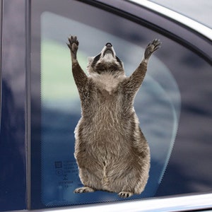 STICKER. Funny Raccoon Window Sticker , Animal Decal, 3D Sticker, Funny ...