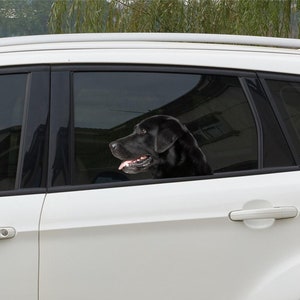 Black Lab Car Window Sticker , 3D Sticker, Funny Sticker, Black Lab ...