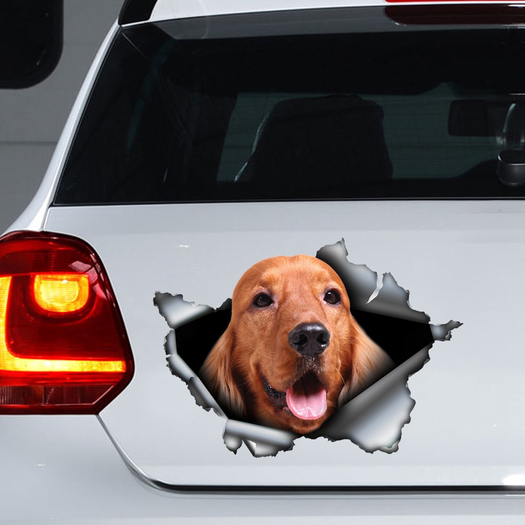 Ginger English Cocker Spaniel Car Decal, Cocker Spaniel Magnet, Spaniel ...