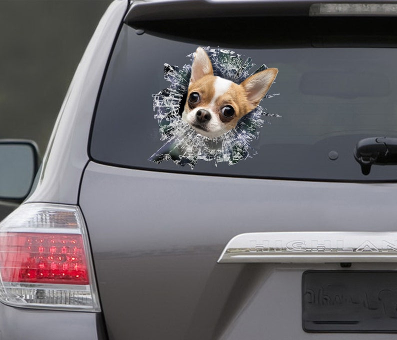 STICKER, Chihuahua Window Sticker, Car Sticker, Chihuahua Car Decal - Etsy