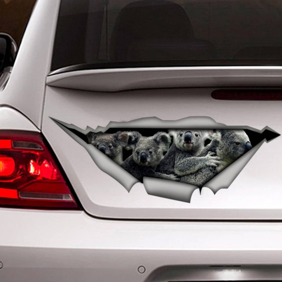Koalas Decal, Funny Car Decal, Vinyl Decal, Car Decoration, Koala ...