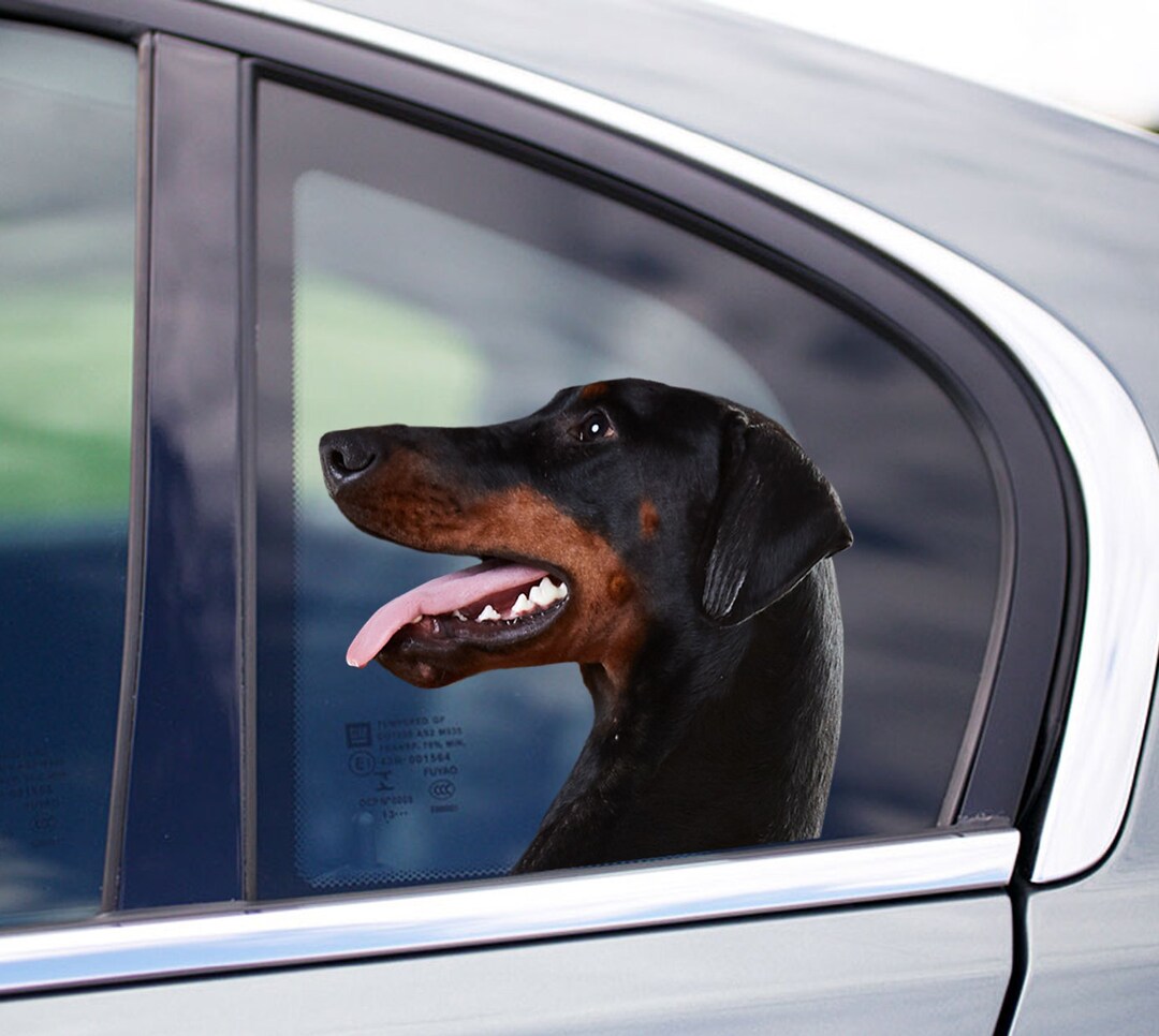 Dobbie Window Sticker, Car Sticker, Doberman Car Decal, Funny Window ...