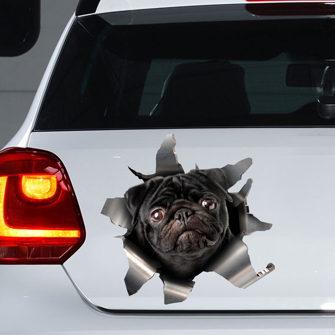 Black Pug Car Sticker, Black Pug Decal, Black Pug Magnet - Etsy