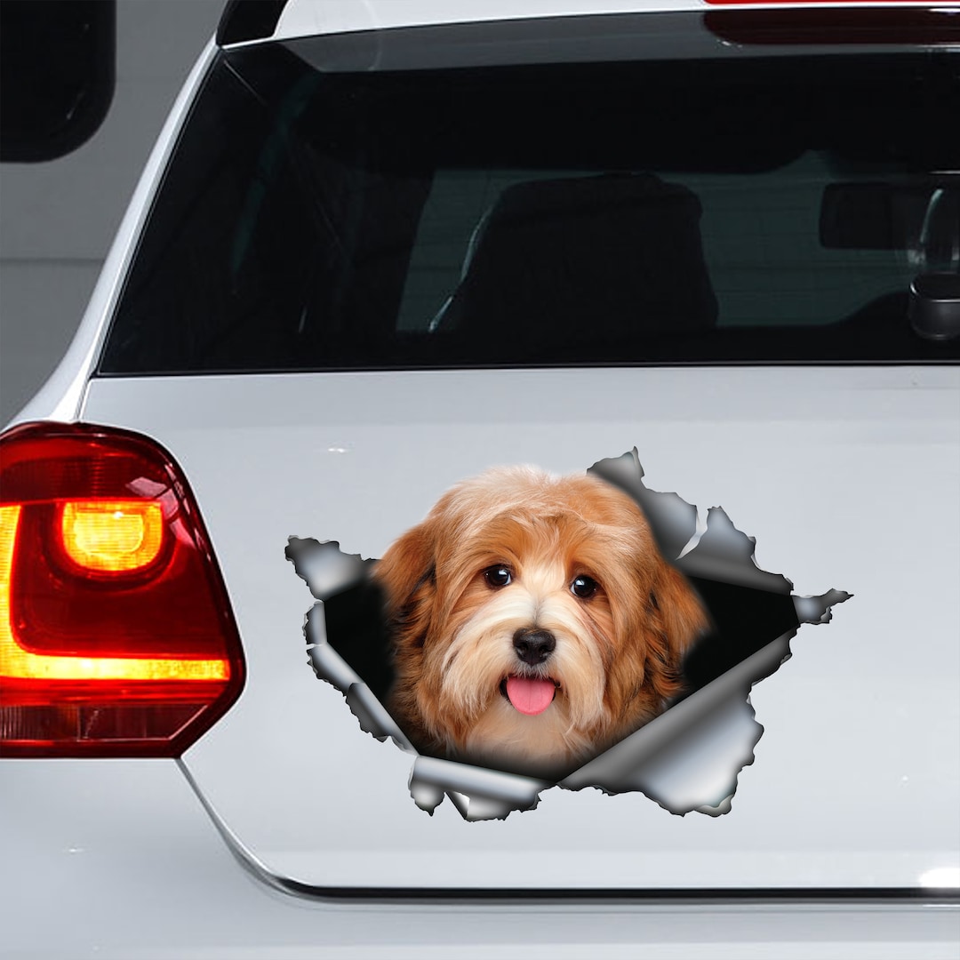 Red Havanese Decal , Red Bichon Havanese Magnet, Bichon Havanese ...
