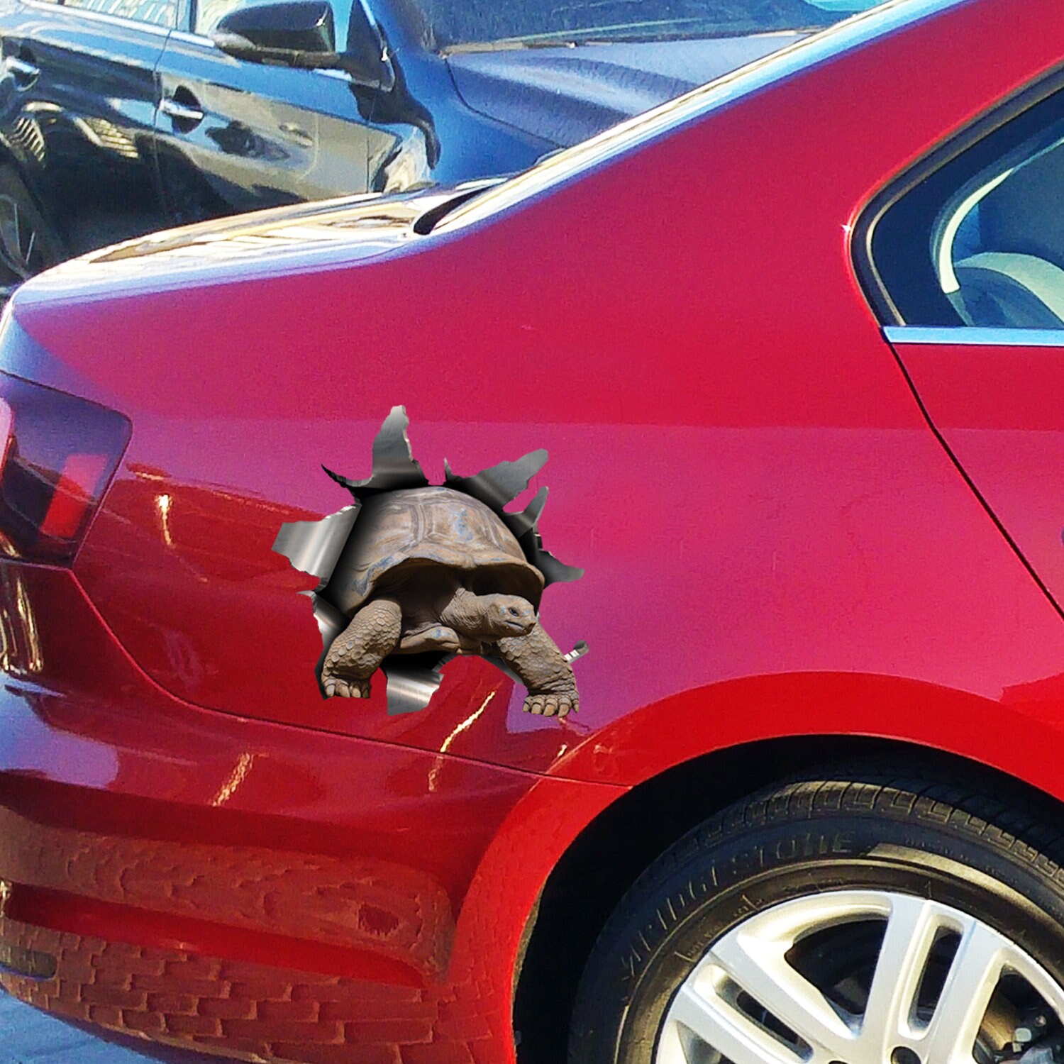 Tortoise Car Sticker, Tortoise Decal, Tortoise Magnet - Etsy