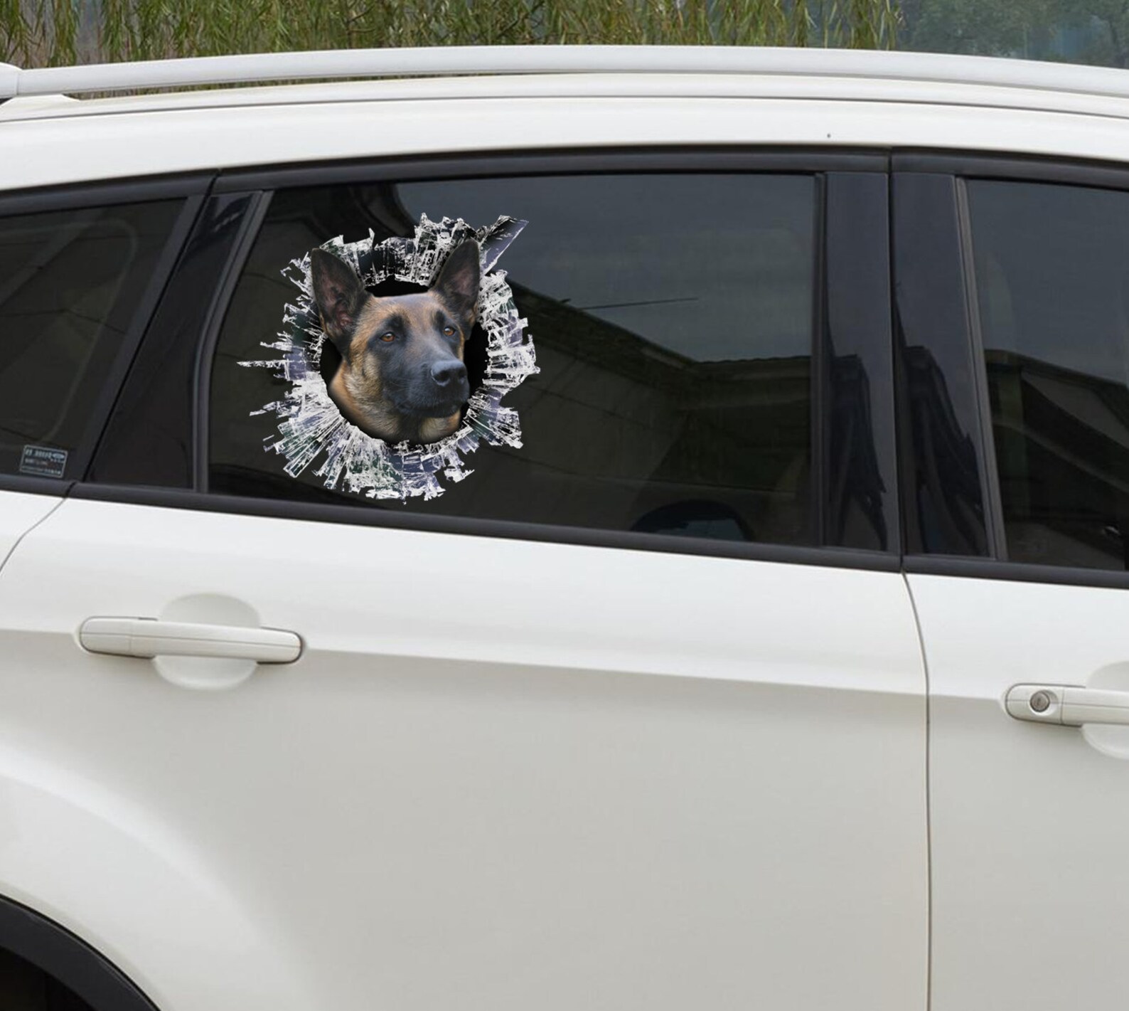 Belgian Malinois Window Decal, Belgian Malinois Car Sticker, Pet Car ...