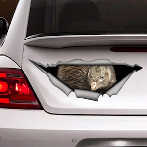 Sticker, Kiwi Car Sticker , Kiwi Bird Decal, Bird Sticker - Etsy