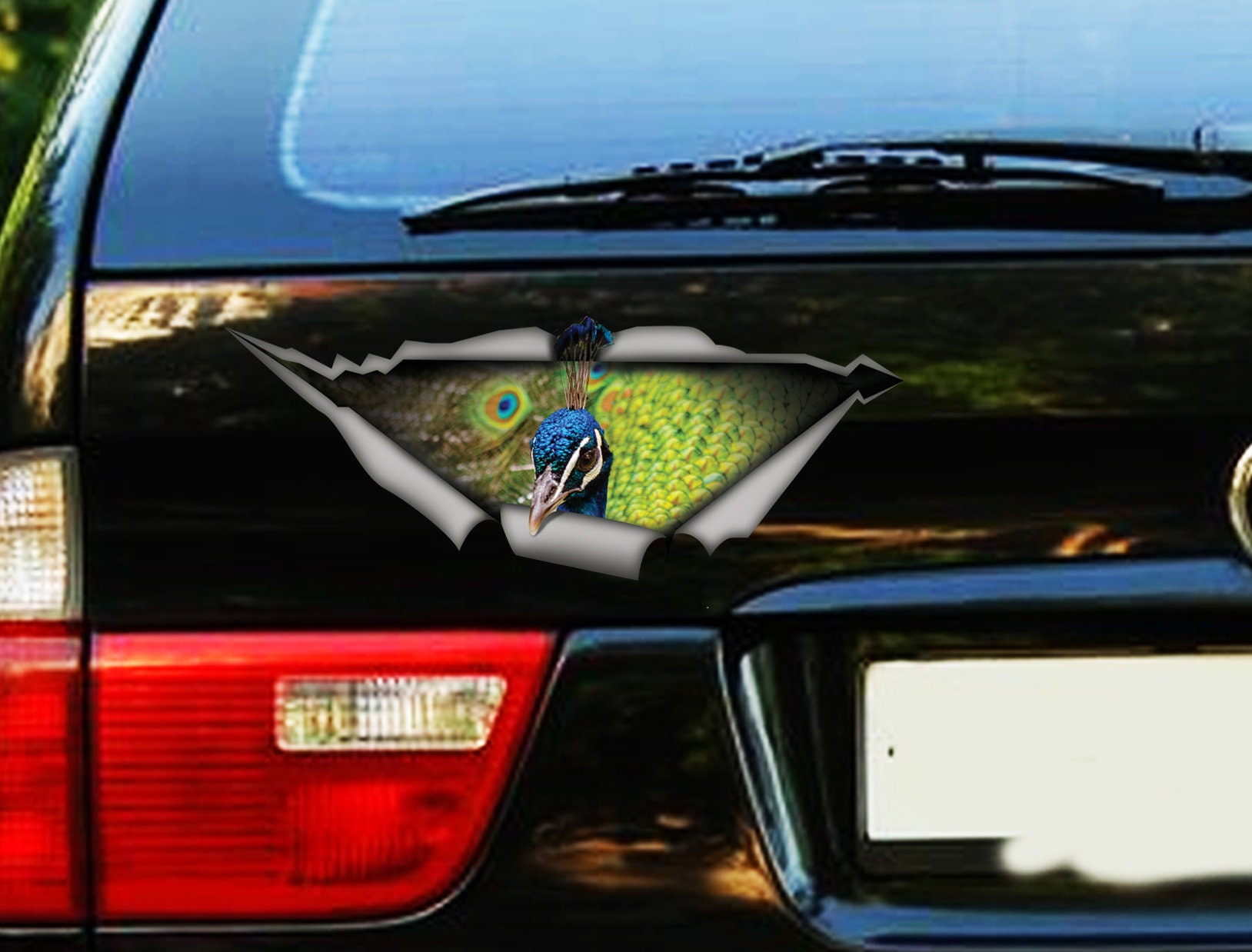 Peacock Car Decal Funny Car Sticker Bird Decal Peacock - Etsy Australia