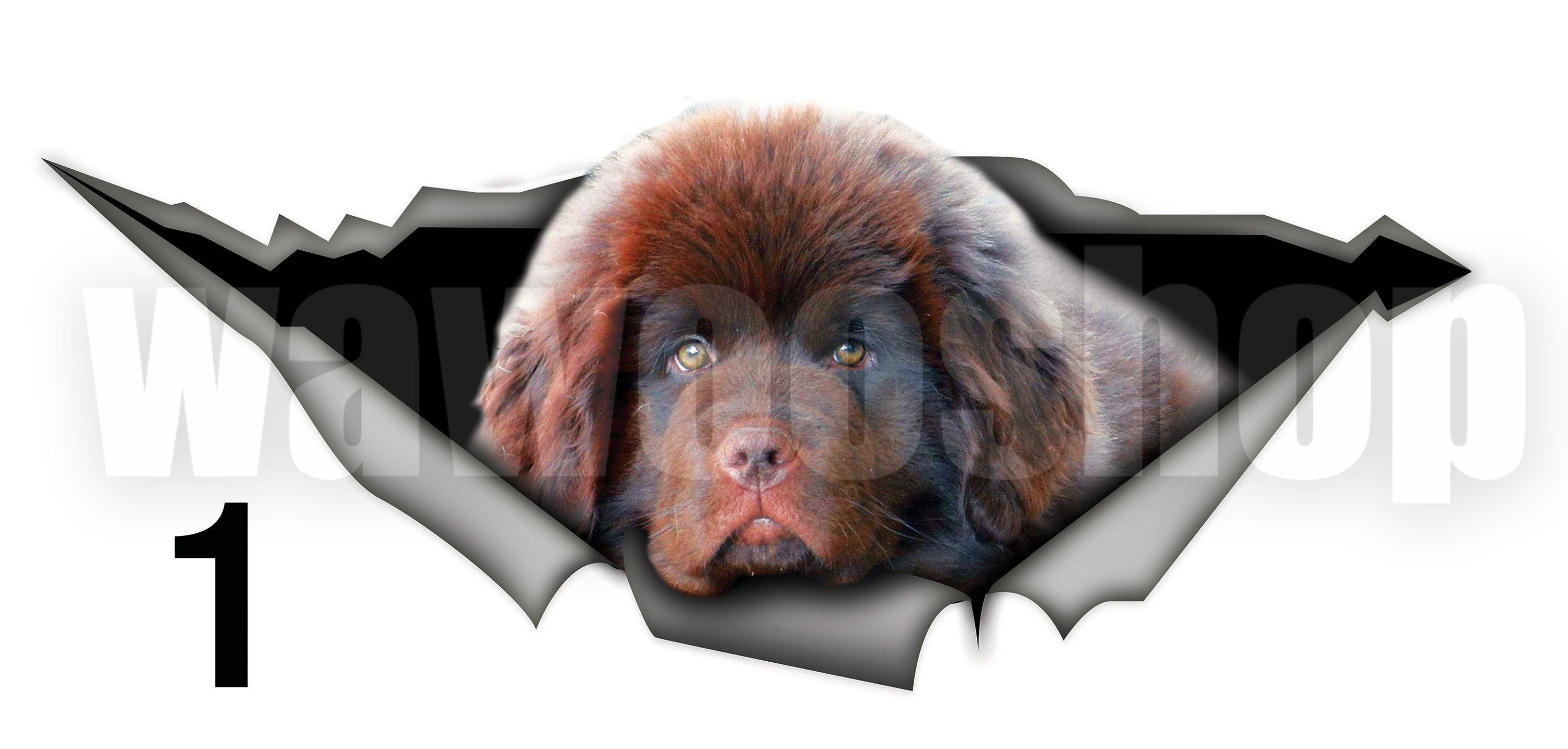 Newfoundland Car Sticker , Dog Car Decal, Newfie Decal, Car Decoration ...