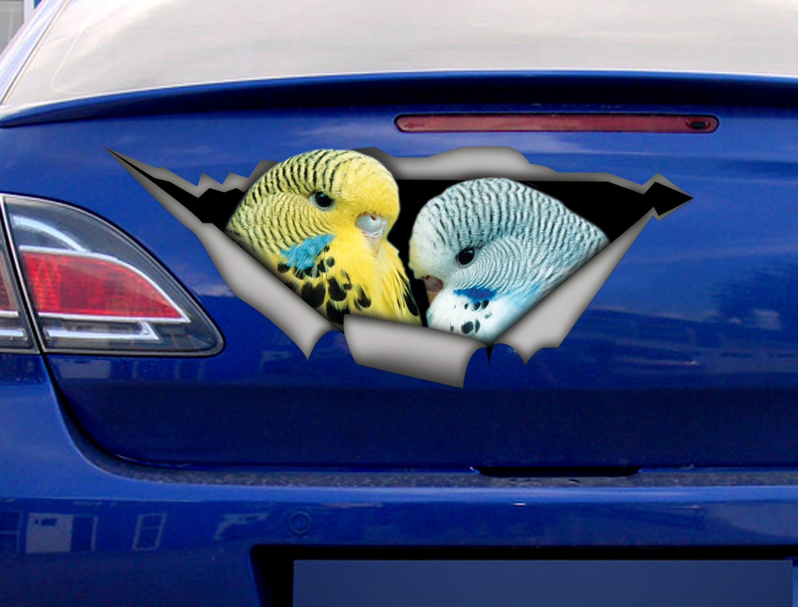 Yellow and Blue Budgie Birds Car Decal Budgie Birds Magnet - Etsy Australia
