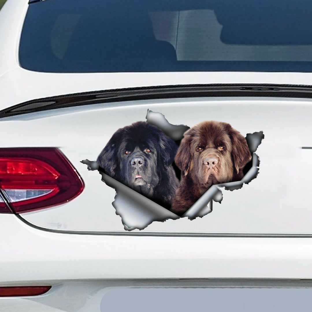 Black and Brown Newfie Decal , Newfie Magnet, Newfie Sticker, Car Decal ...