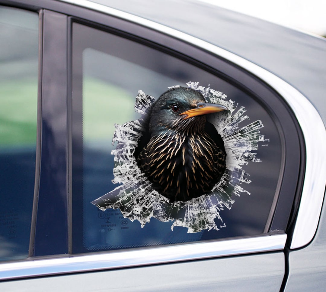 Starling Bird Window Sticker, Starling Bird Car Sticker, Bird Decal - Etsy