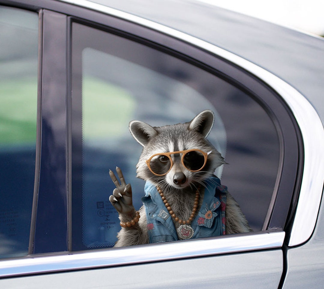 Raccoon Sticker , Raccoon Magnet, Raccoon Car Decal, Raccoon Laptop ...