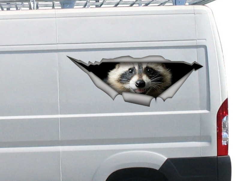 Raccoon Car Decal Animal Decal 3D Sticker Vinyl Decal - Etsy Israel