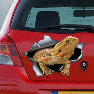 Bearded Dragon Car Decal, Bearded Dragon Magnet, Bearded Dragon Car ...