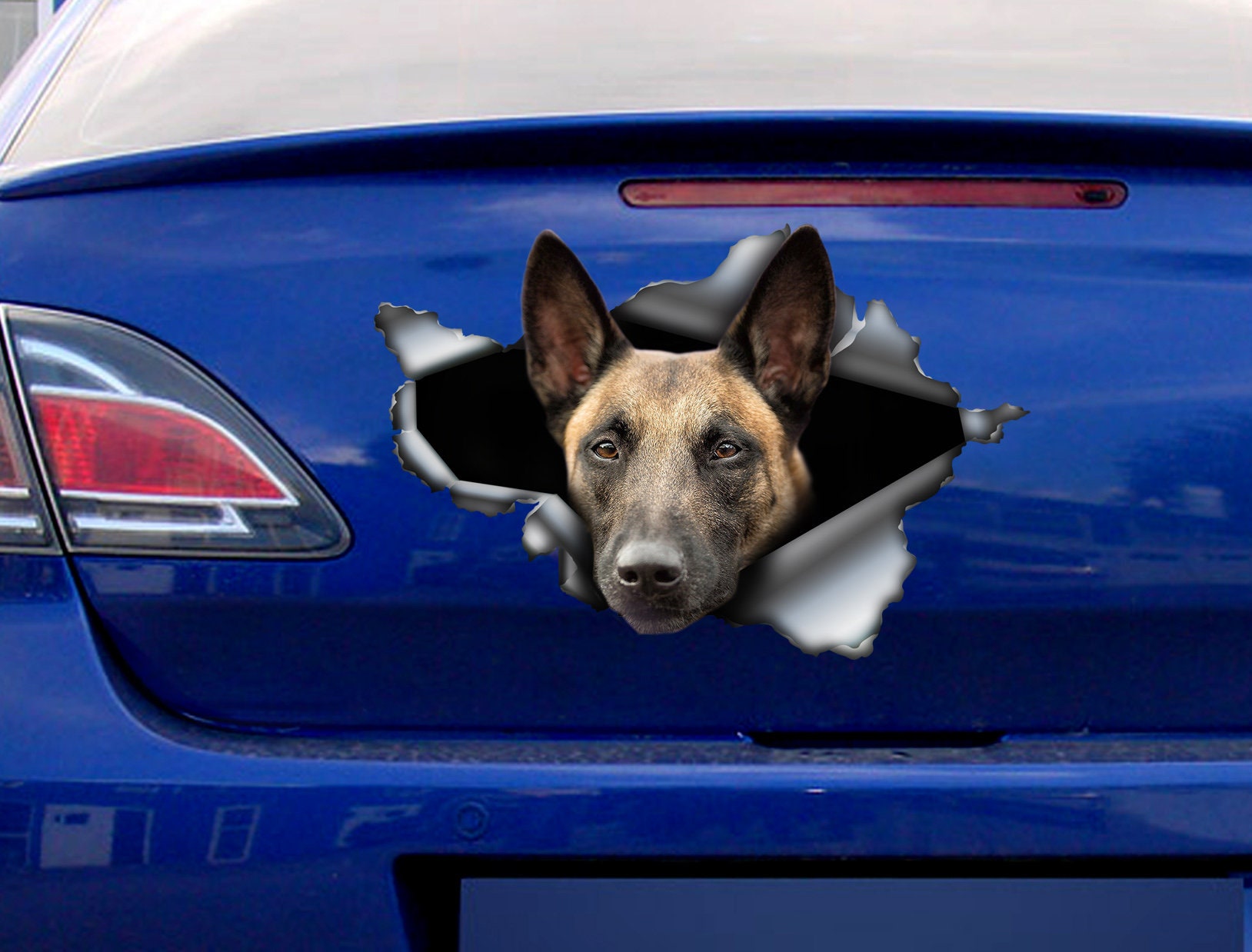 Belgian Malinois Decal Belgian Malinois Magnet Malinois - Etsy