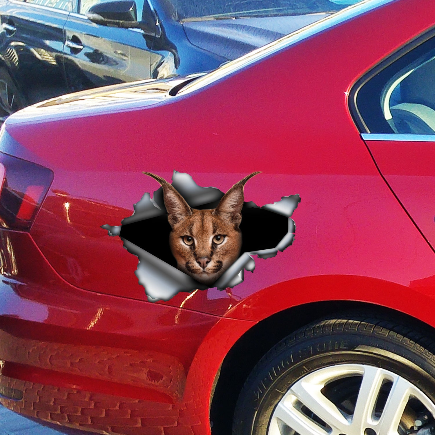 Caracal Car Decal , Caracal Magnet, Caracal Sticker - Etsy