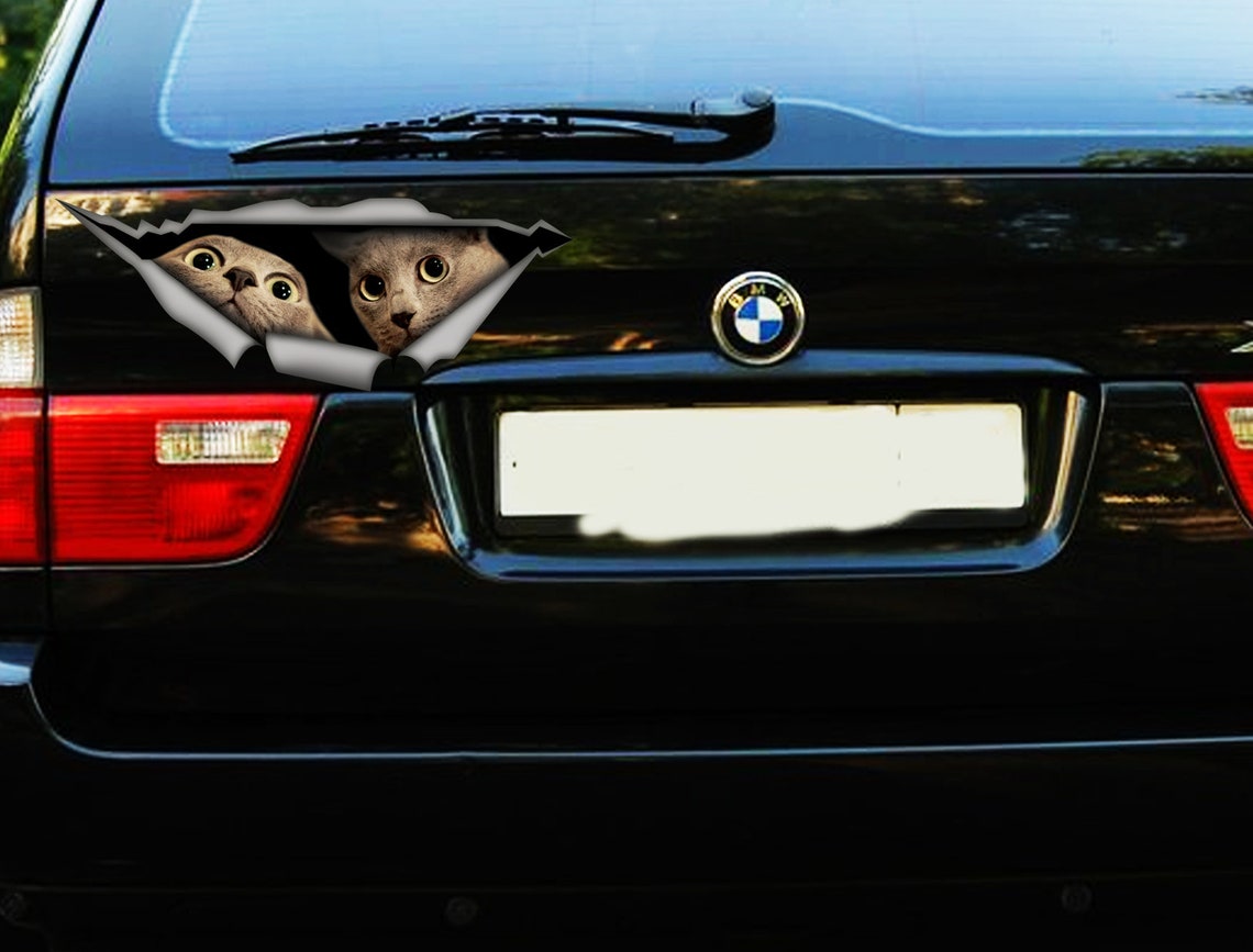 Funny Cat Decal Funny Sticker Cat Car Sticker Gray Cat - Etsy