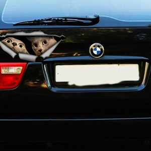 Funny Cat Decal, Funny Sticker, Cat Car Sticker, Gray Cat - Etsy