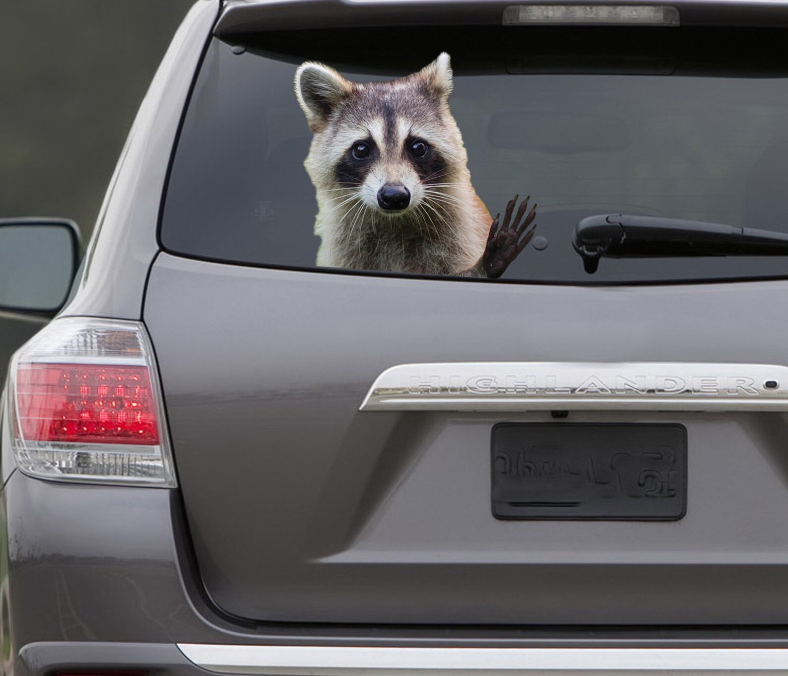 Raccoon Window Sticker , Animal Decal, 3D Sticker, Vinyl Decal, Funny ...