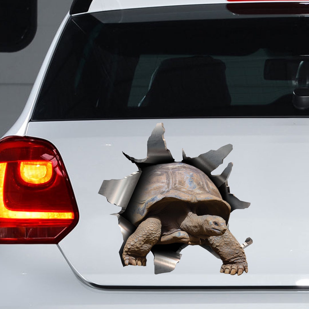Tortoise Car Sticker, Tortoise Decal, Tortoise Magnet - Etsy