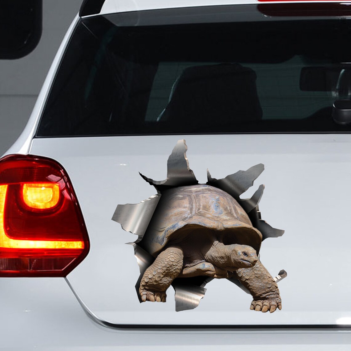 Tortoise Car Sticker Tortoise Decal Tortoise Magnet | Etsy