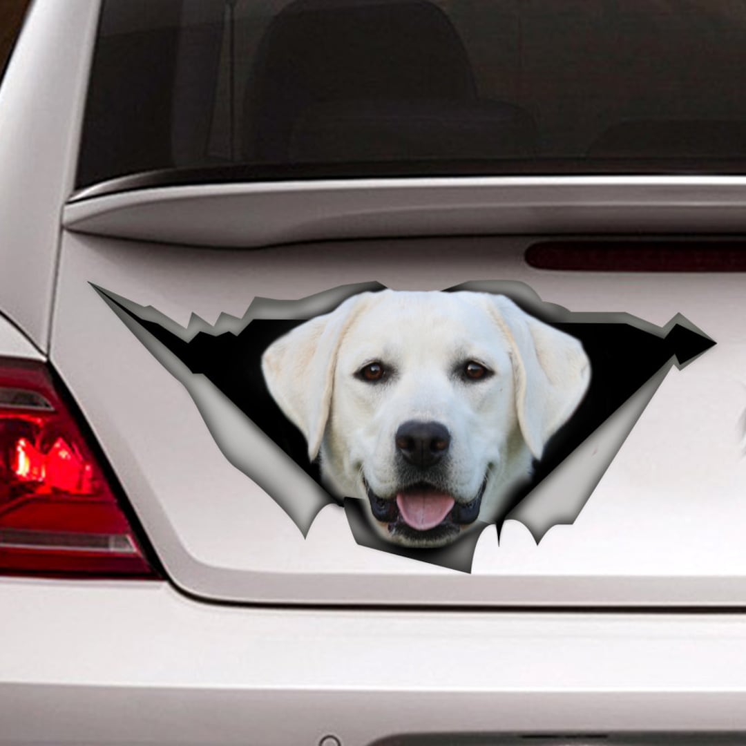 White Labrador Decal, Lab Magnet, Lab Decal, White Lab Car Sticker - Etsy