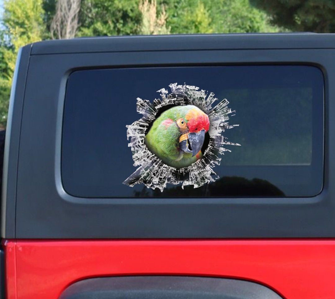 Red Fronted Macaw Window Decal , Car Sticker, Macaw Sticker - Etsy